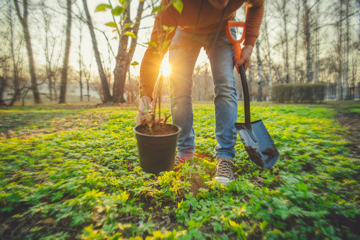 7-NGO-Sustainability Initiatives Helping Save the Planet